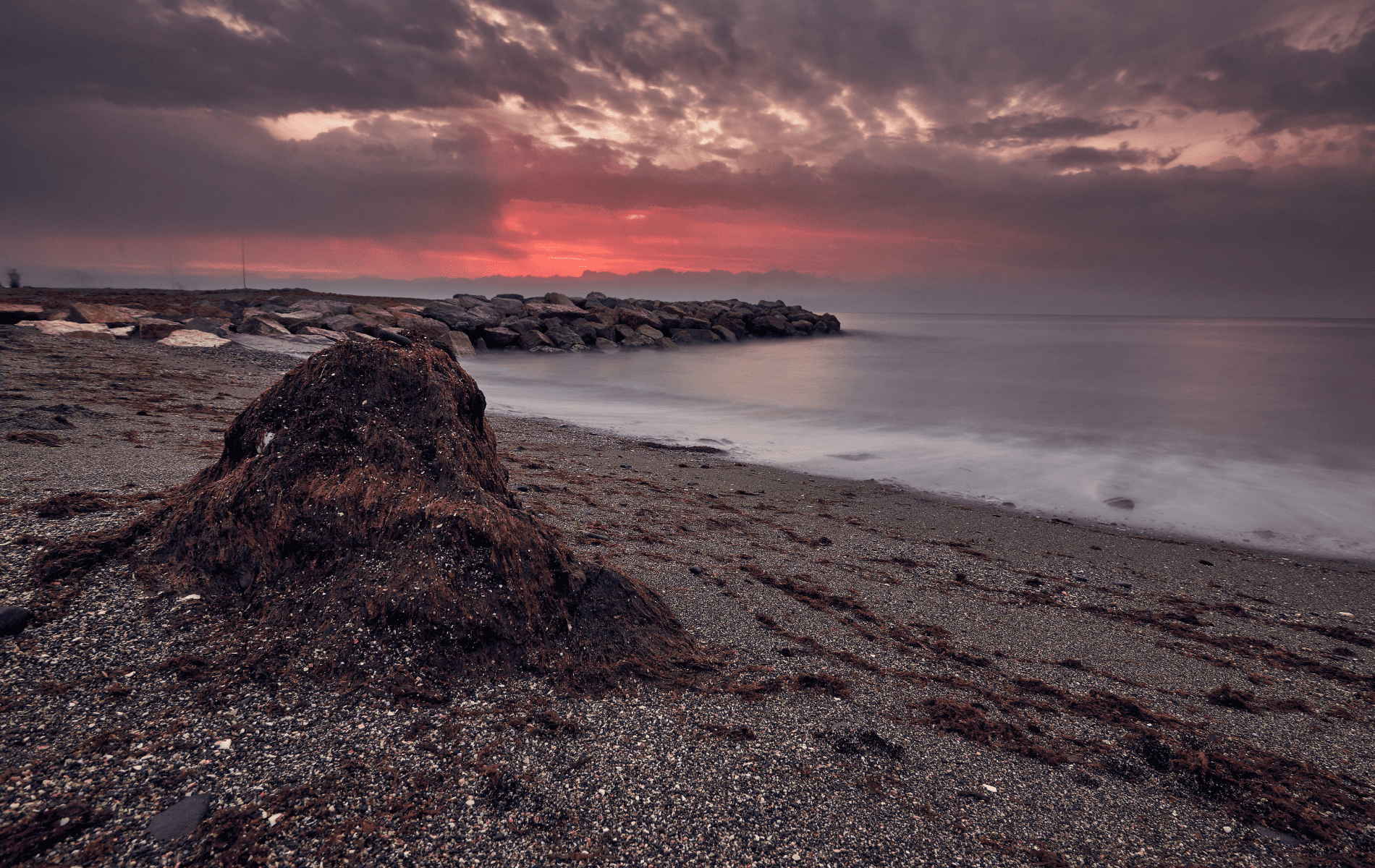 Guadalmina: the perfect destination for real estate investment